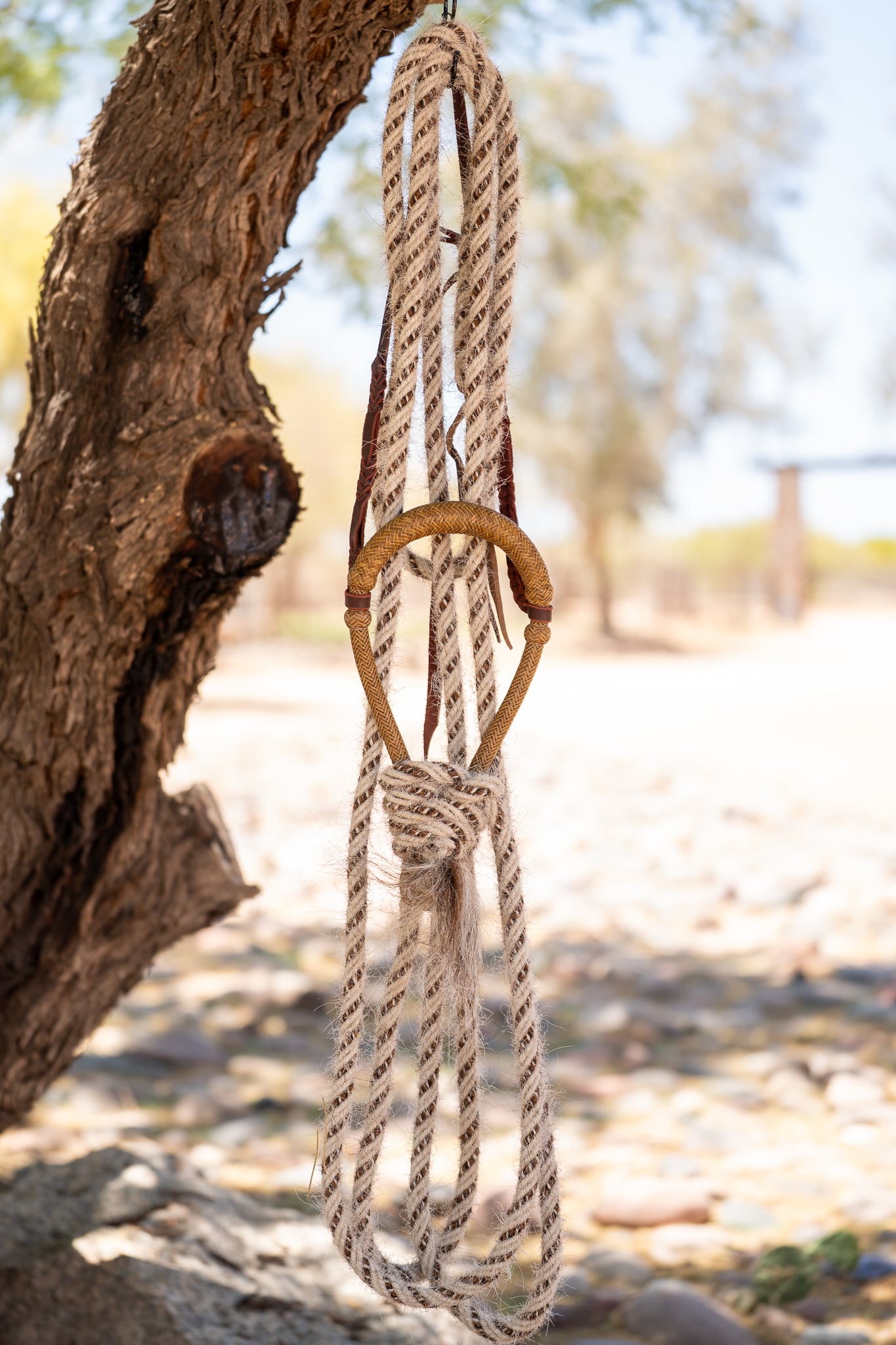 Western Braiders Rawhide Hackamore Set | Al Dunning