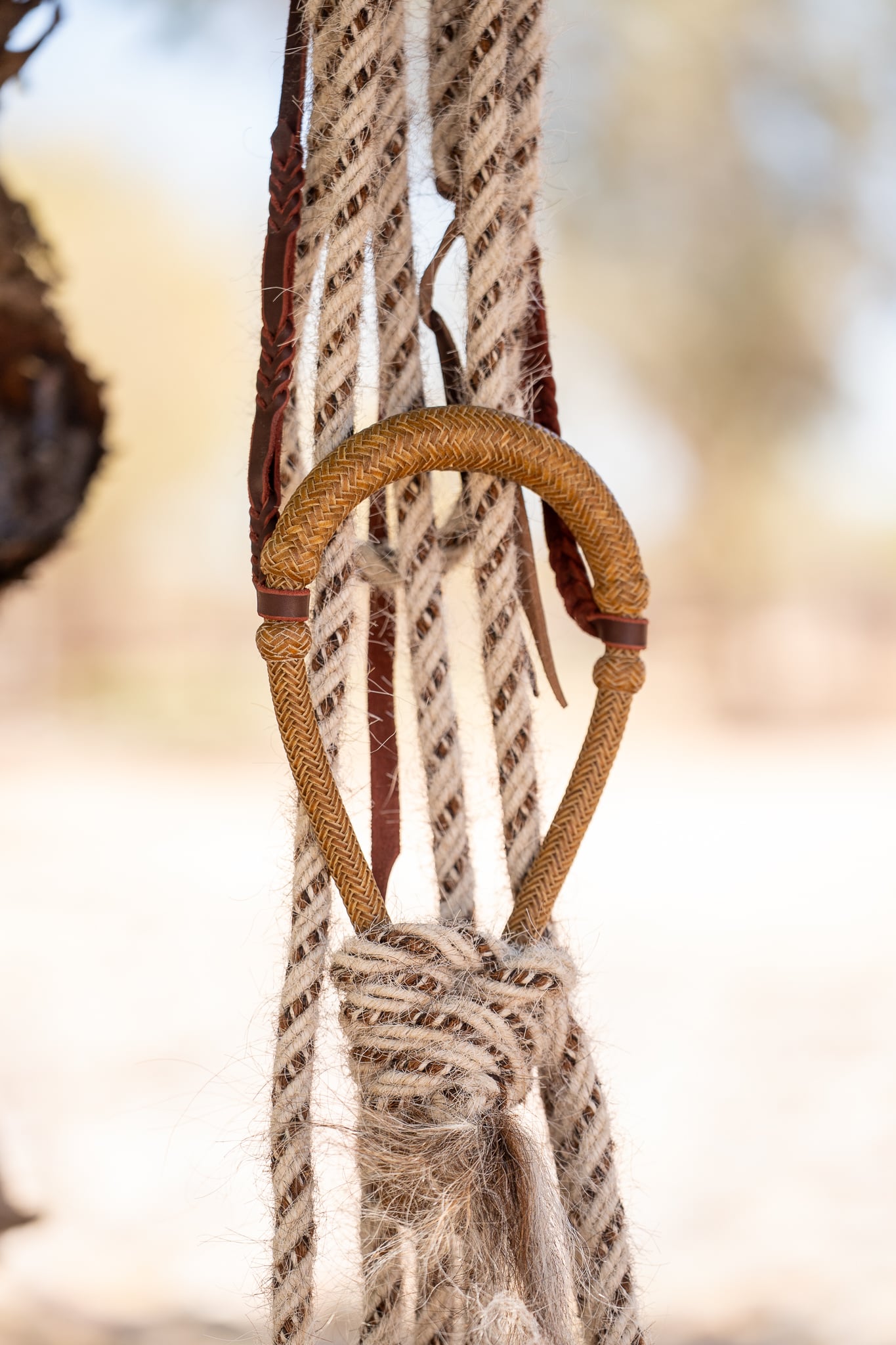 Western Braiders Rawhide Hackamore Set | Al Dunning