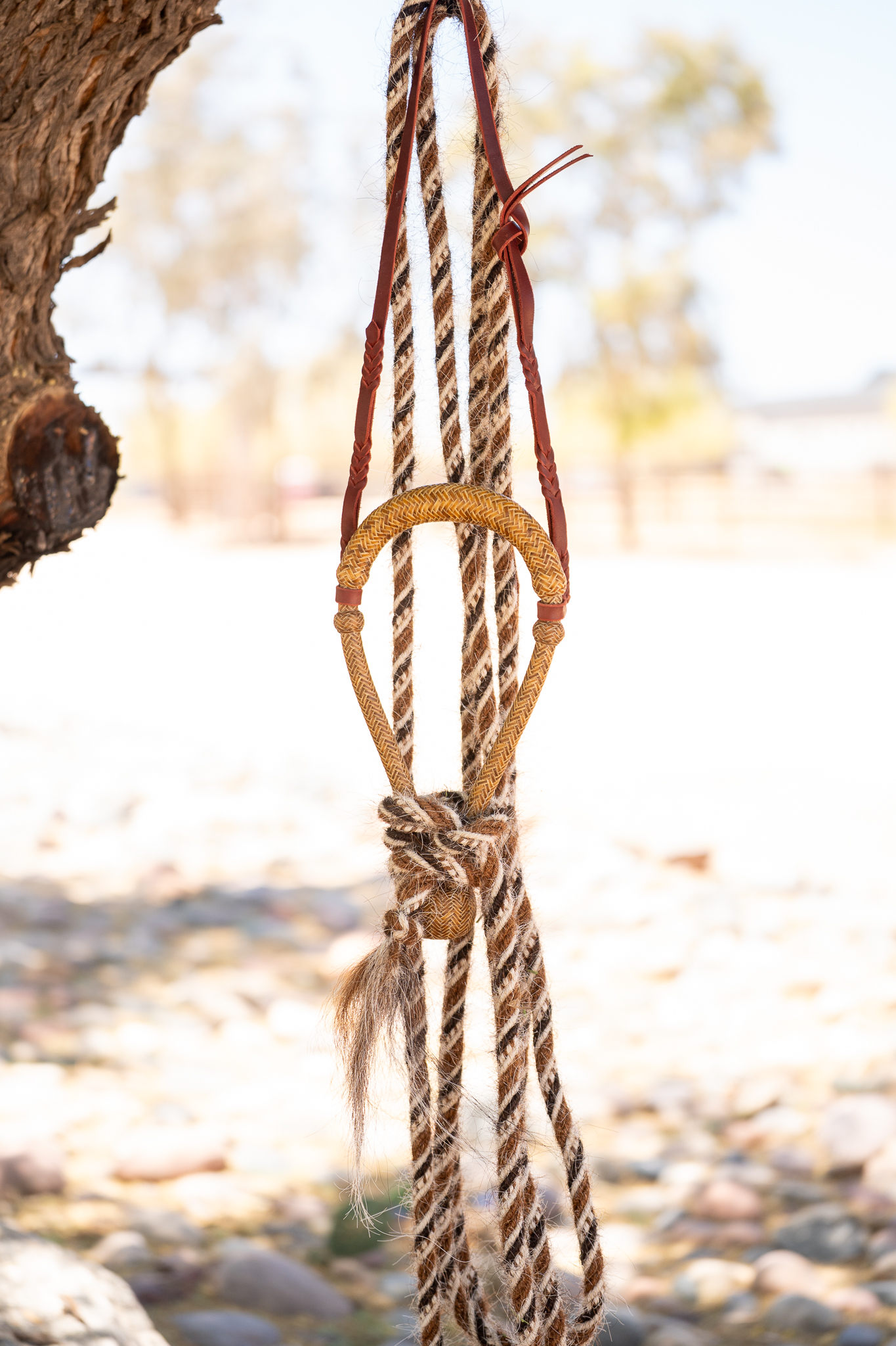 Western Braiders Rawhide Hackamore Set | Al Dunning