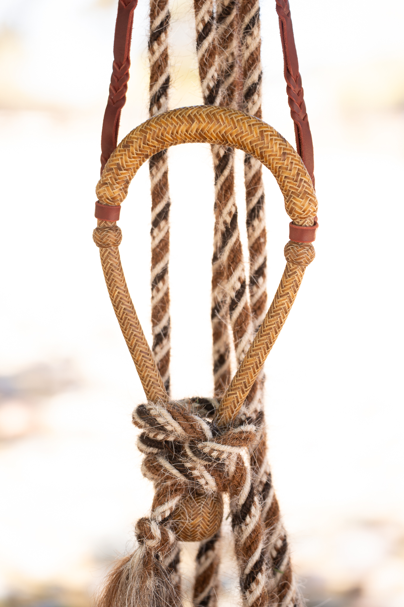 Western Braiders Rawhide Hackamore Set | Al Dunning