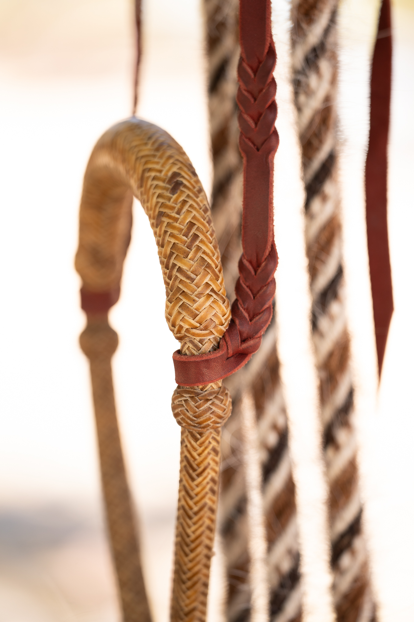 Western Braiders Rawhide Hackamore Set | Al Dunning