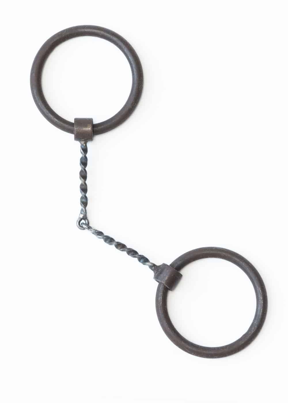 Preston Williams Loose Ring Square Twist Snaffle - Al Dunning