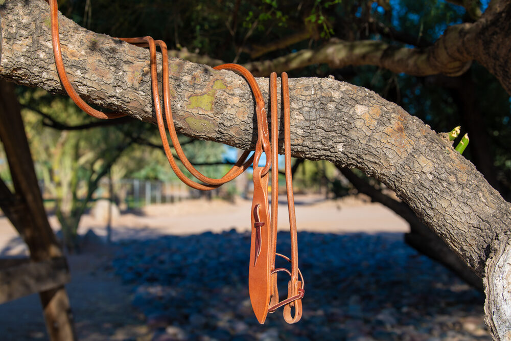 Leather Romal Reins with Waterloops - Schutz Brothers | Al Dunning