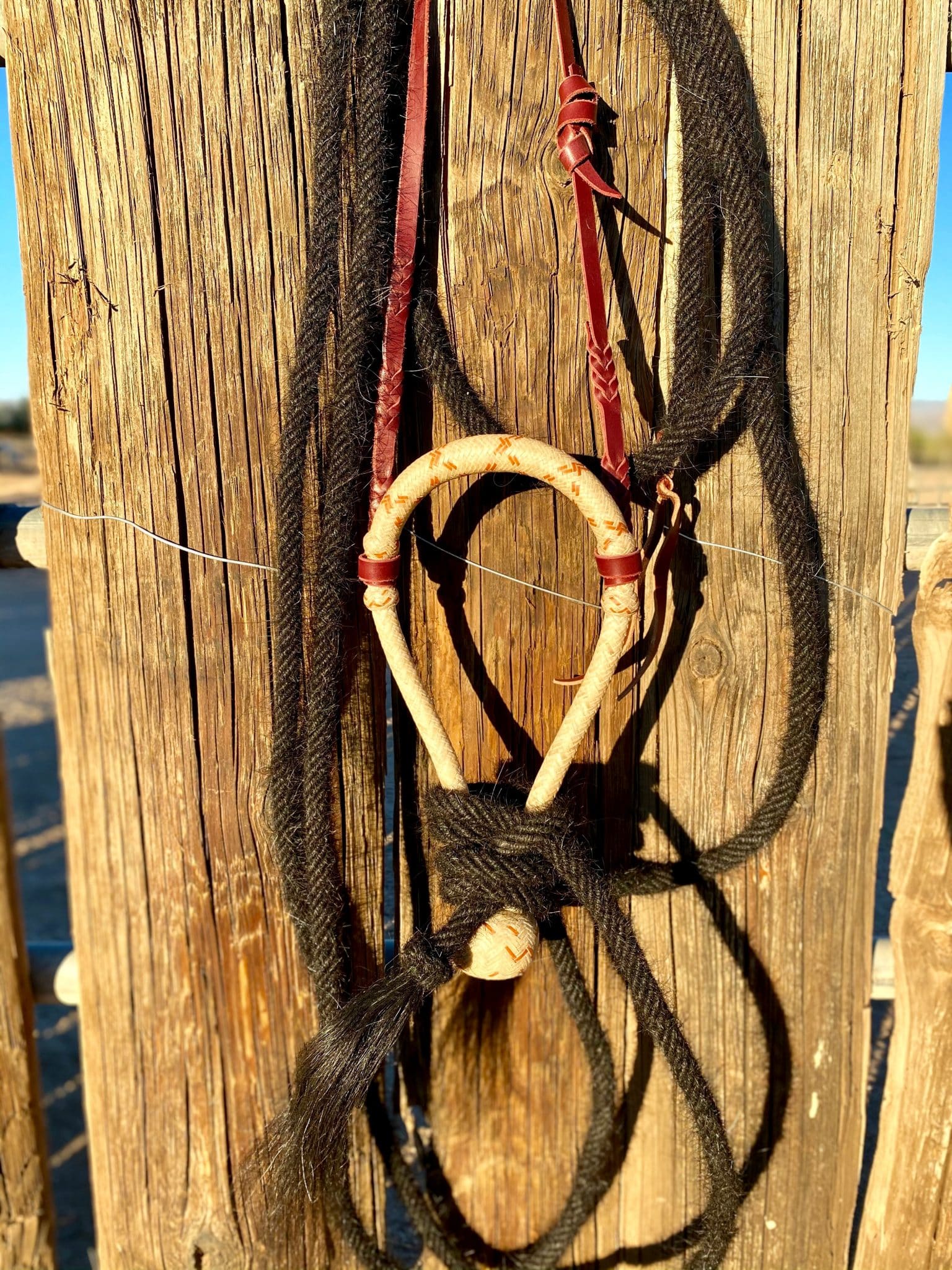 Western Braiders Rawhide Hackamore Set - Al Dunning