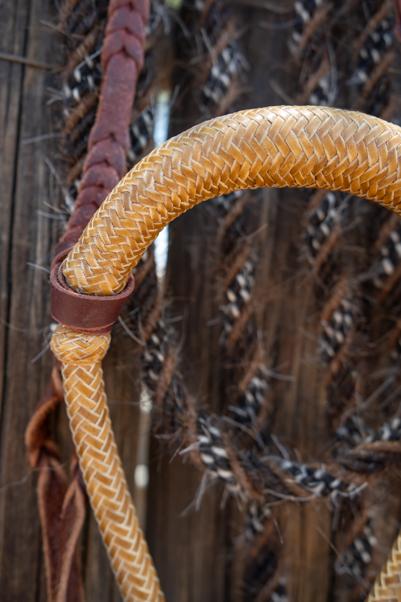 Western Braiders Rawhide Hackamore Set | Al Dunning