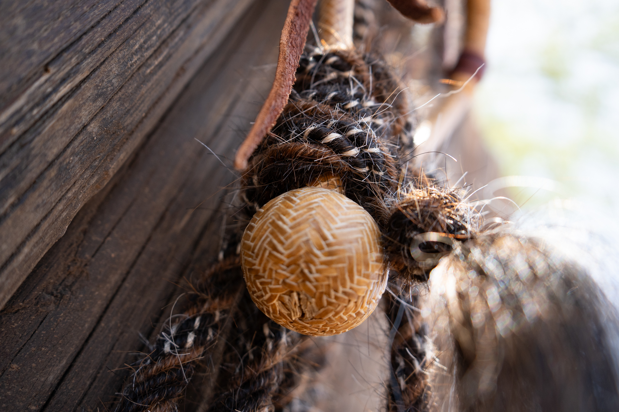 Western Braiders Rawhide Hackamore Set | Al Dunning