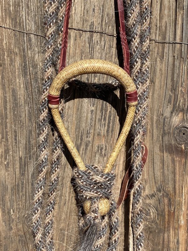 Western Braiders Rawhide Hackamore Set - Al Dunning