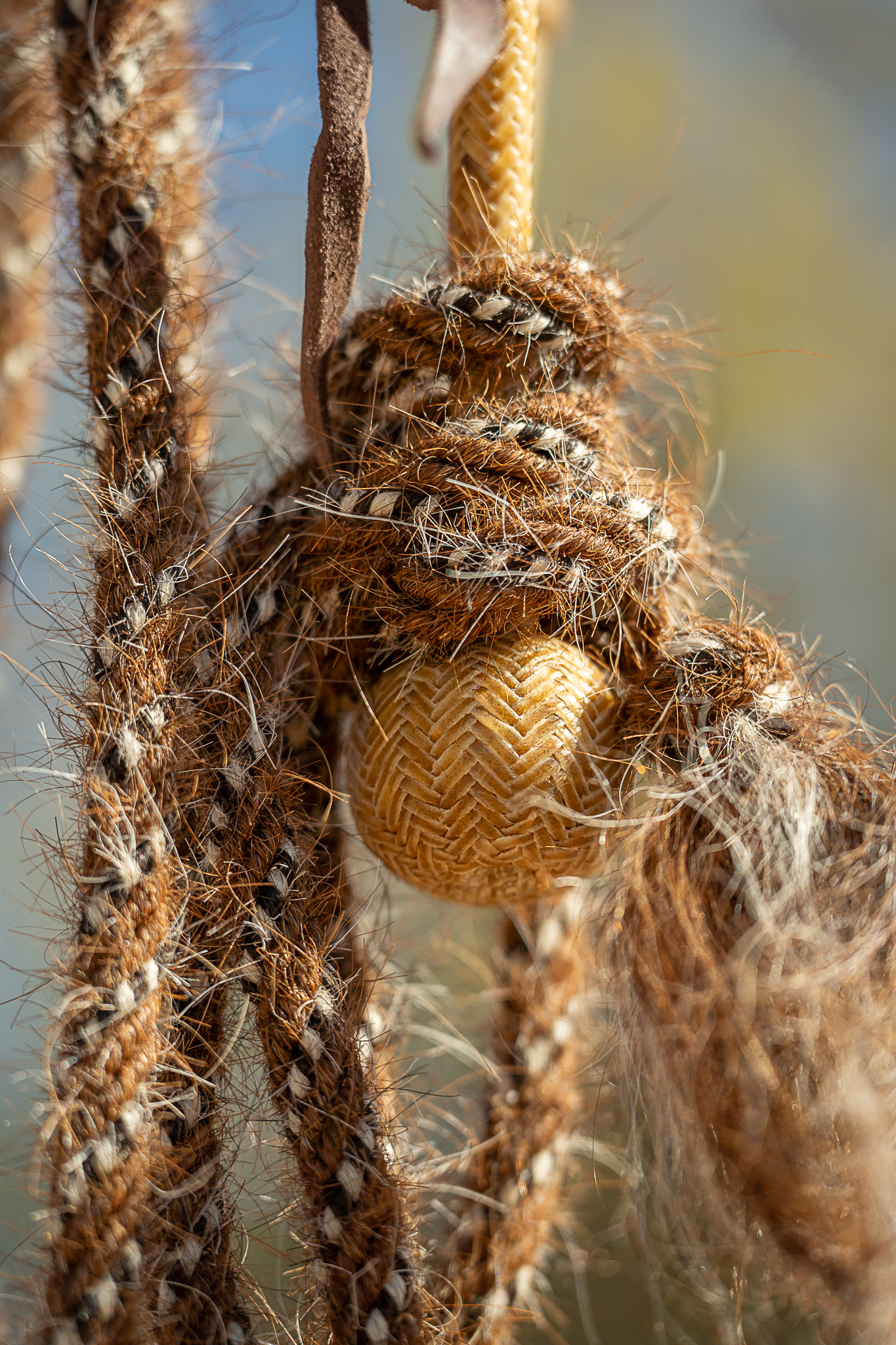 Western Braiders Rawhide Hackamore Set | Al Dunning