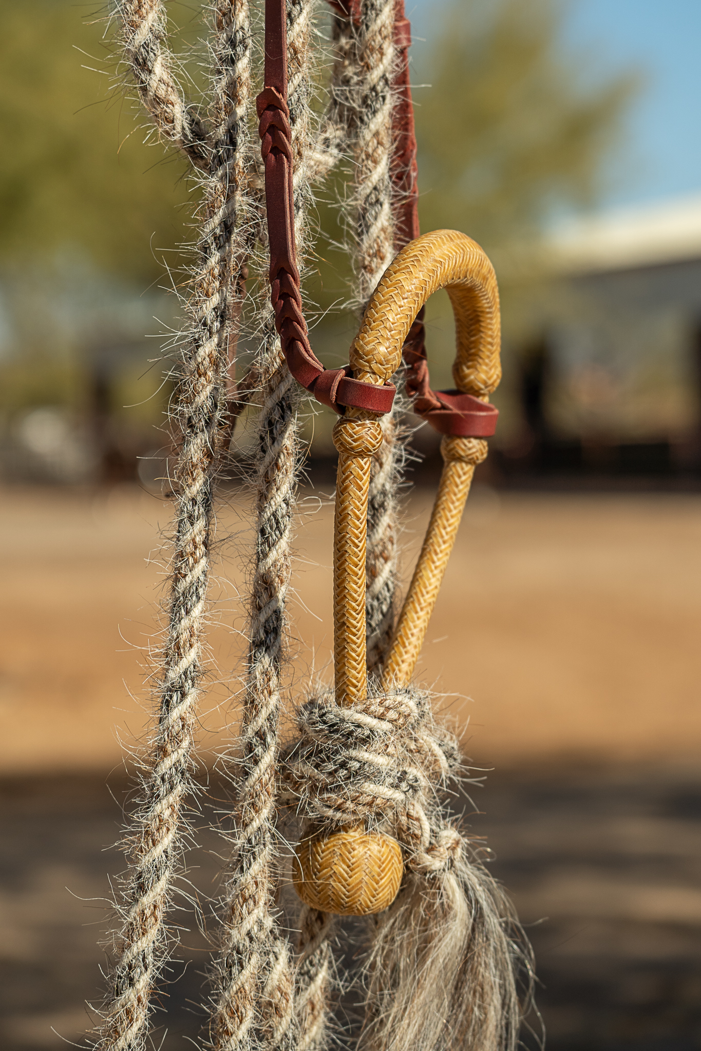 Western Braiders Rawhide Hackamore Set | Al Dunning