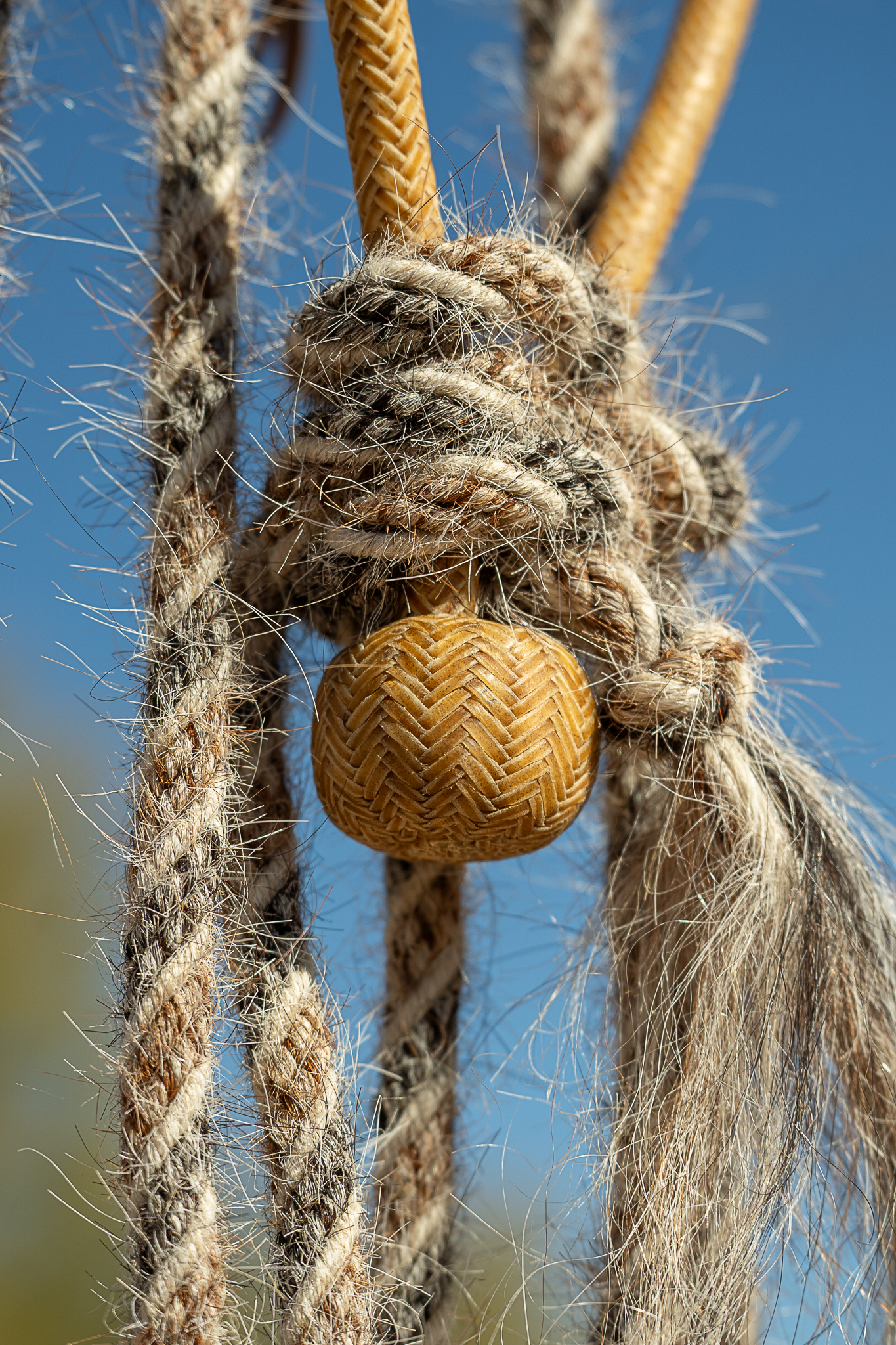 Western Braiders Rawhide Hackamore Set | Al Dunning