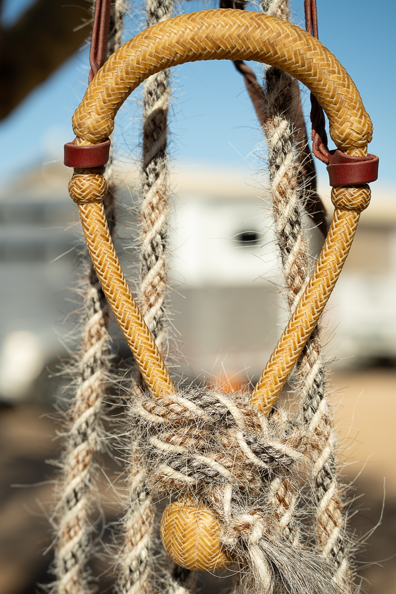 Western Braiders Rawhide Hackamore Set | Al Dunning