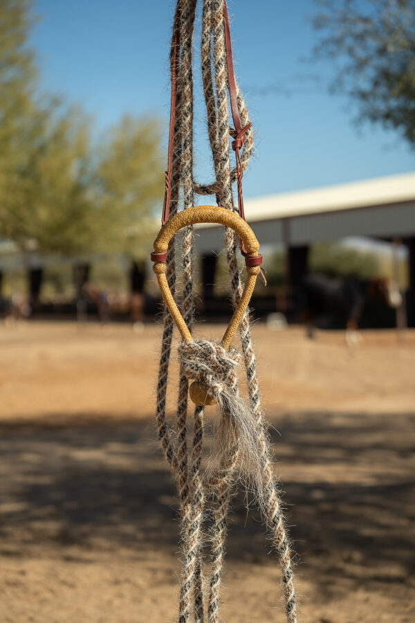 Western Braiders Rawhide Hackamore Set | Al Dunning