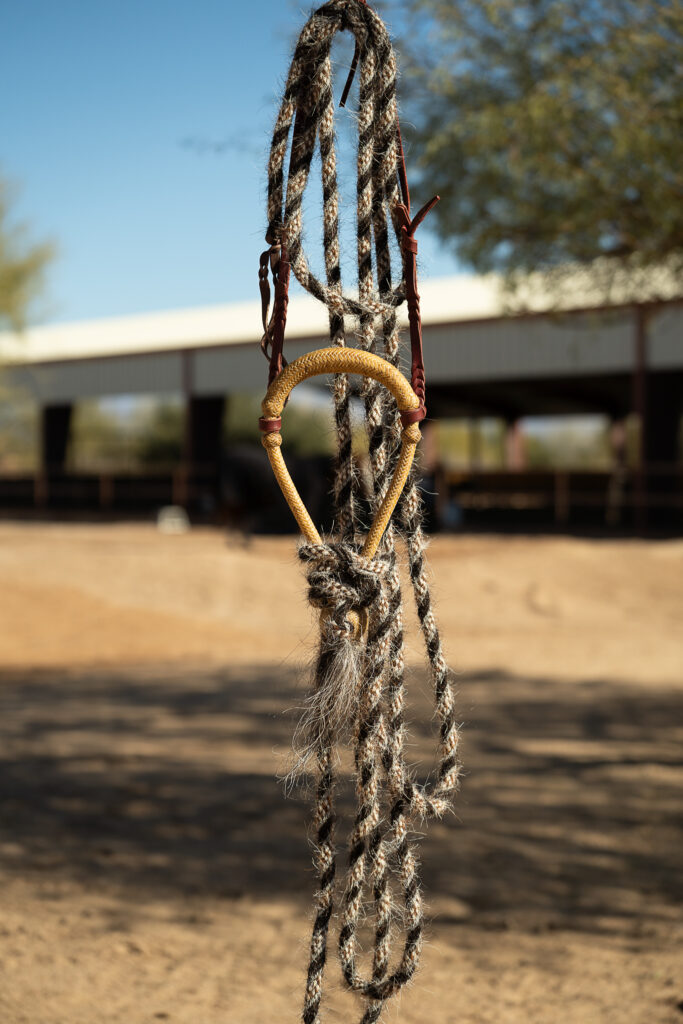Western Braiders Rawhide Hackamore Set | Al Dunning