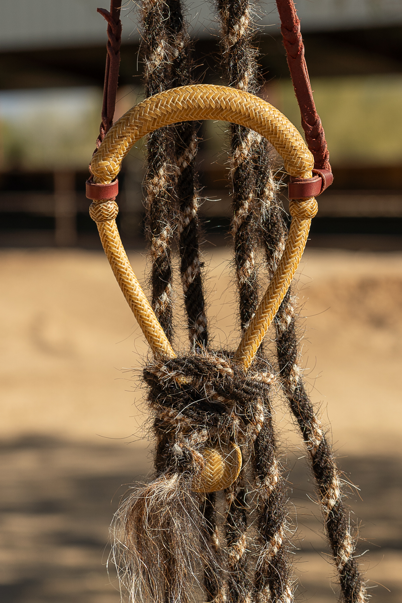 Western Braiders Rawhide Hackamore Set | Al Dunning