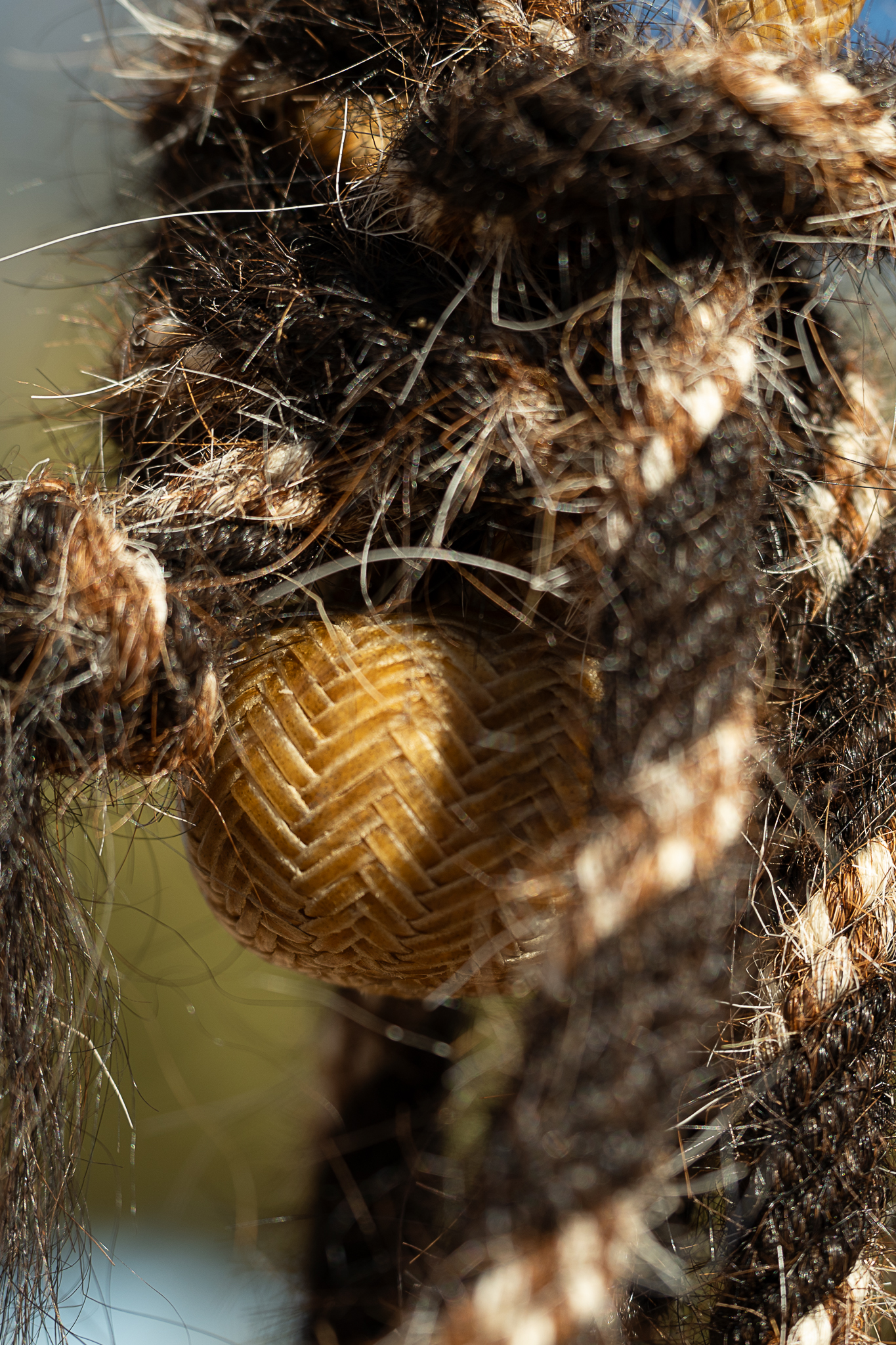 Western Braiders Rawhide Hackamore Set | Al Dunning