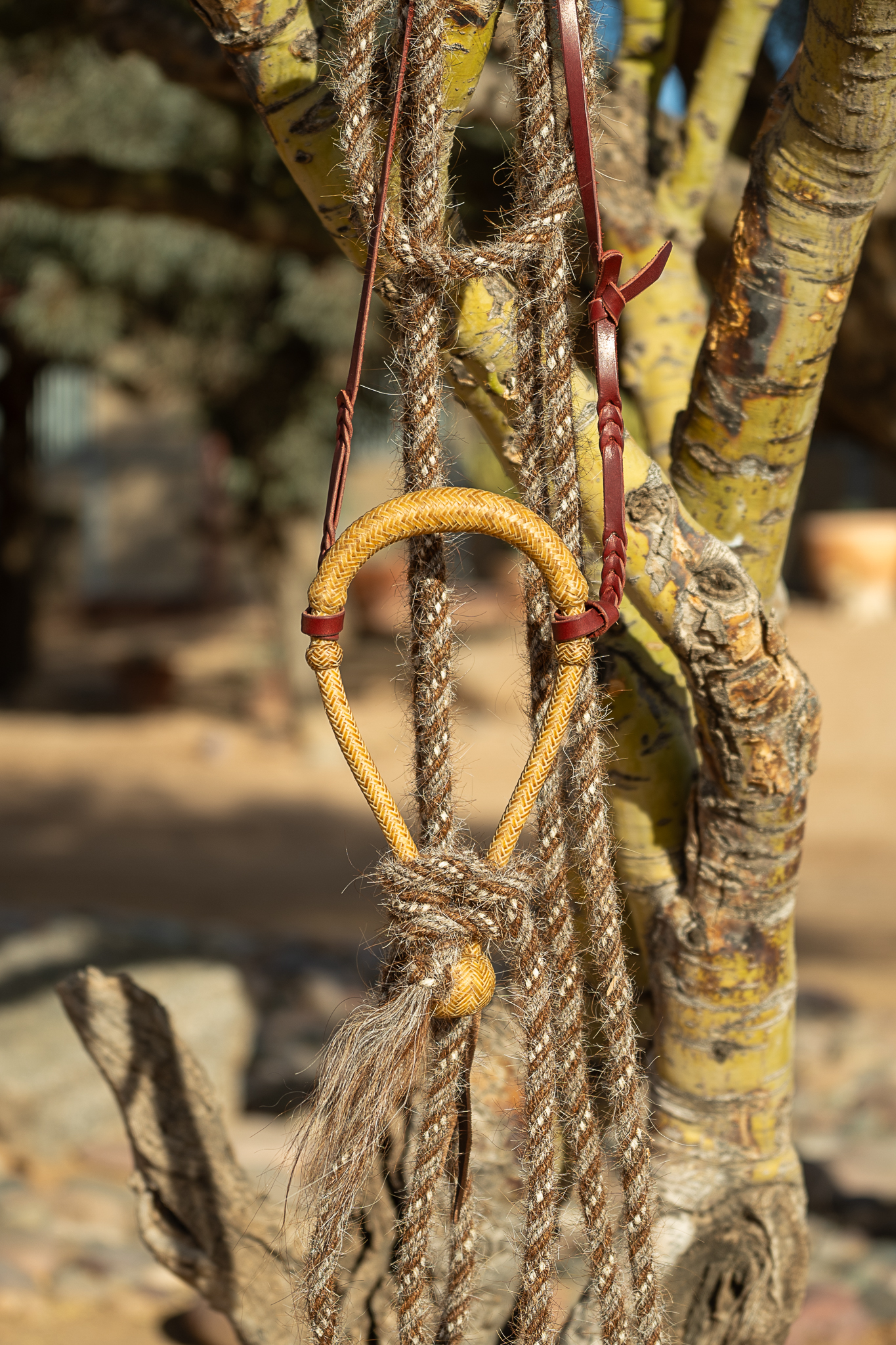 Western Braiders Rawhide Hackamore Set | Al Dunning