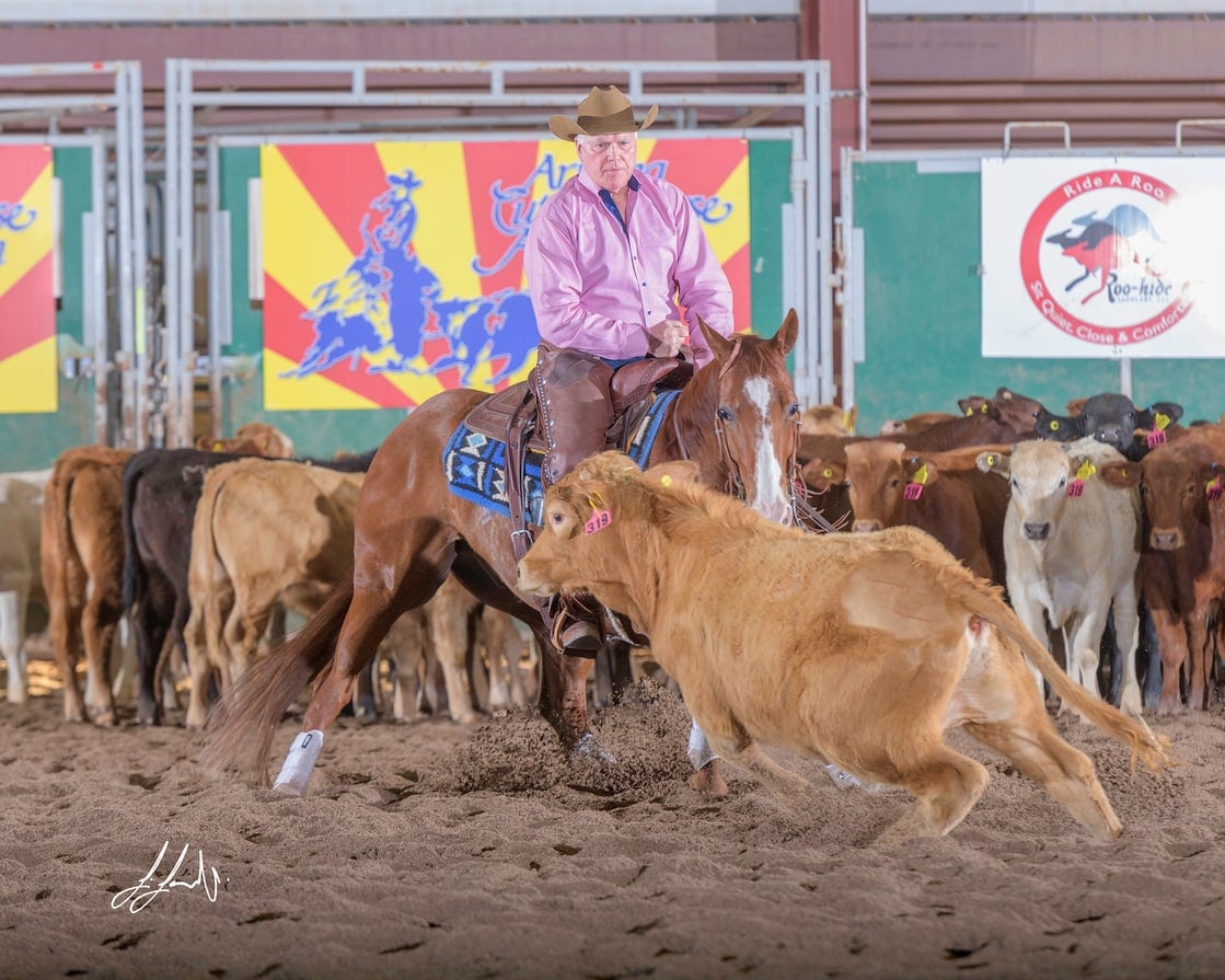 Horses for Sale | Al Dunning