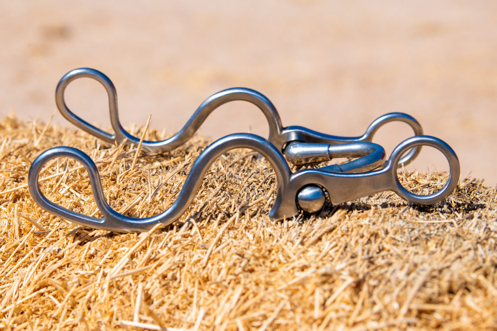 Bits | Shank Bit Horse | Cowboy Tack Shop | Al Dunning