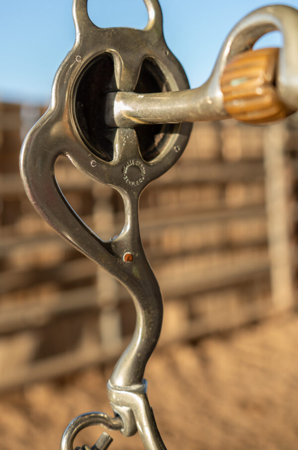 Vintage Visalia Humane Bit | Al Dunning