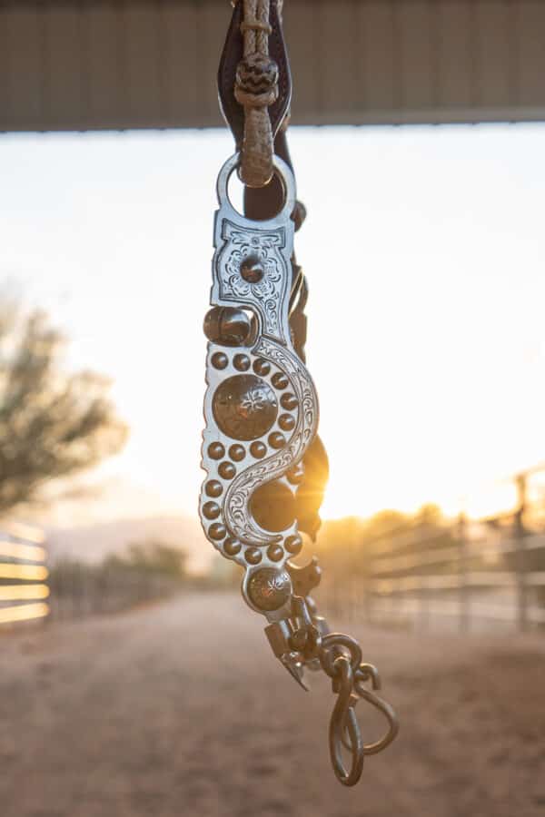 Vintage Bridle Bit Marked "Results" | Al Dunning