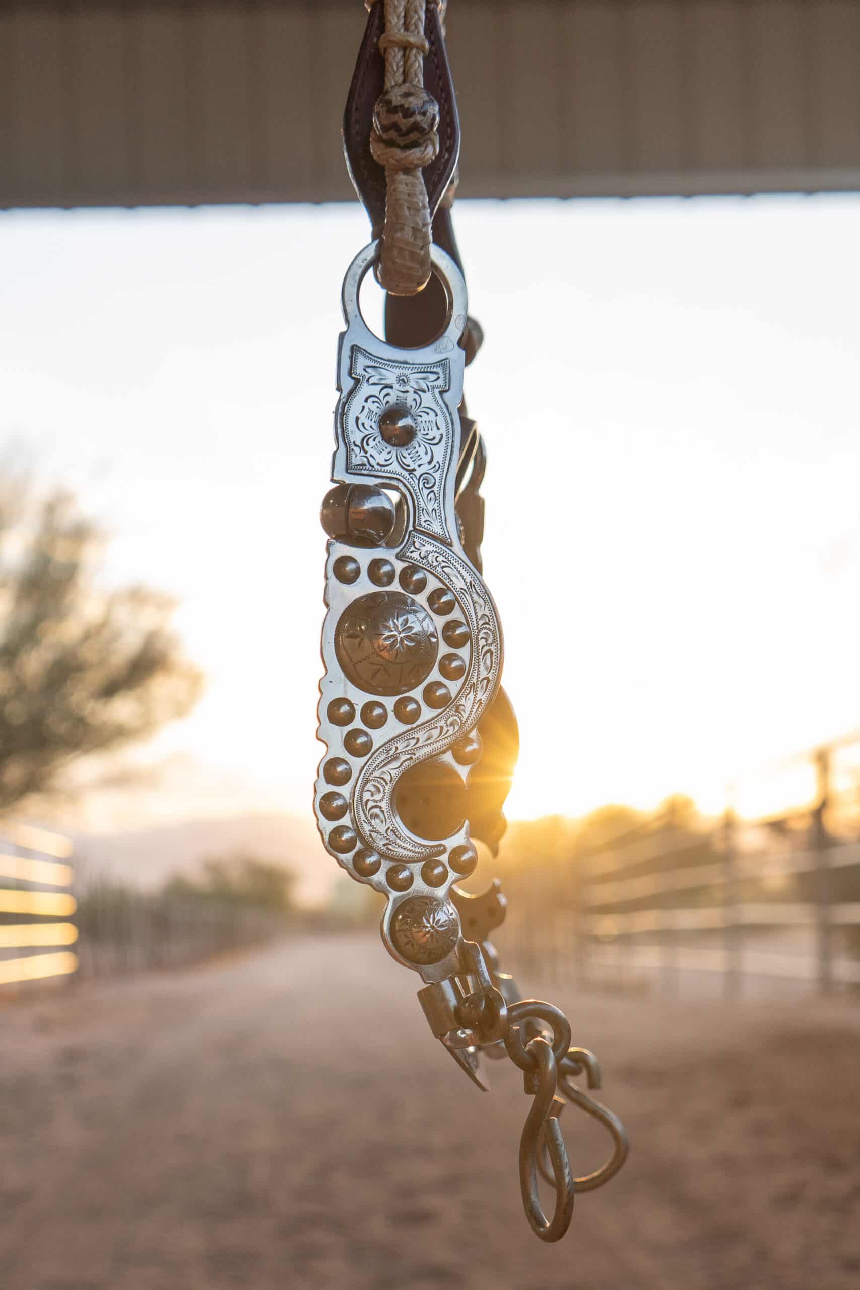 Vintage Bridle Bit Marked "Results" | Al Dunning