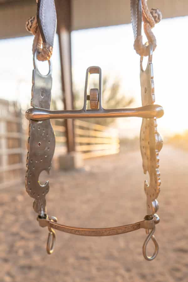 Vintage Bridle Bit Marked "Results" | Al Dunning