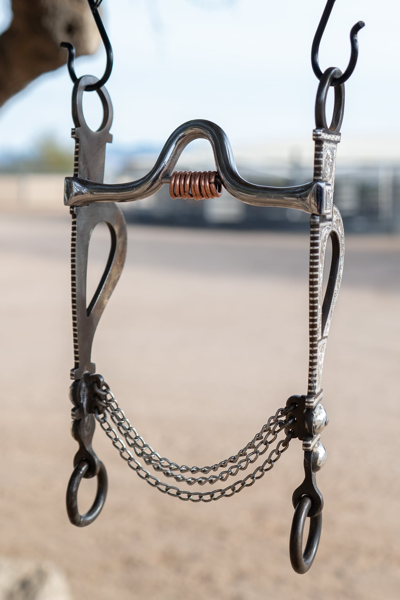 E Garcia Bridle Bit with Tear Drop Shanks | Al Dunning