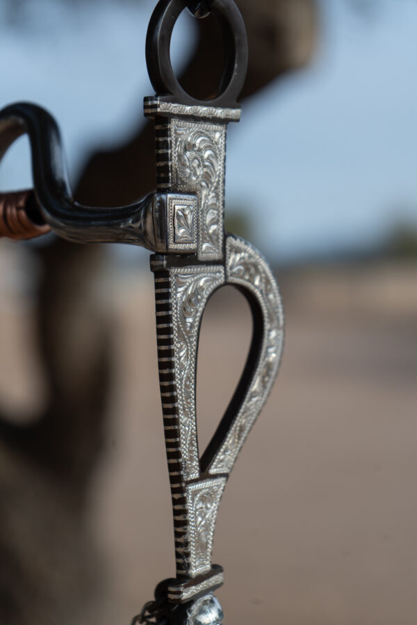 E Garcia Bridle Bit with Tear Drop Shanks | Al Dunning