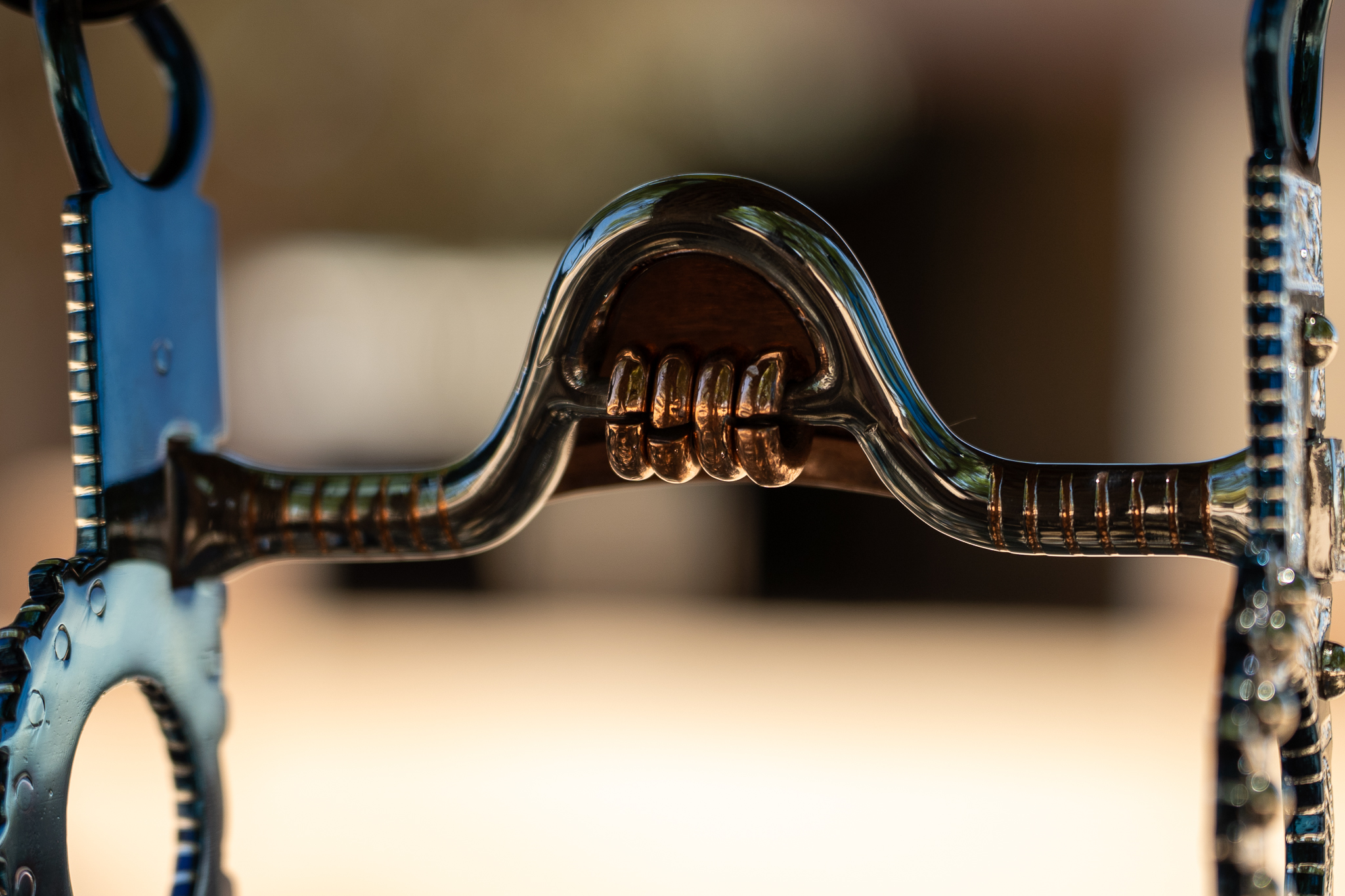 E Garcia Bridle Bit with Santa Barbara Shanks | Al Dunning