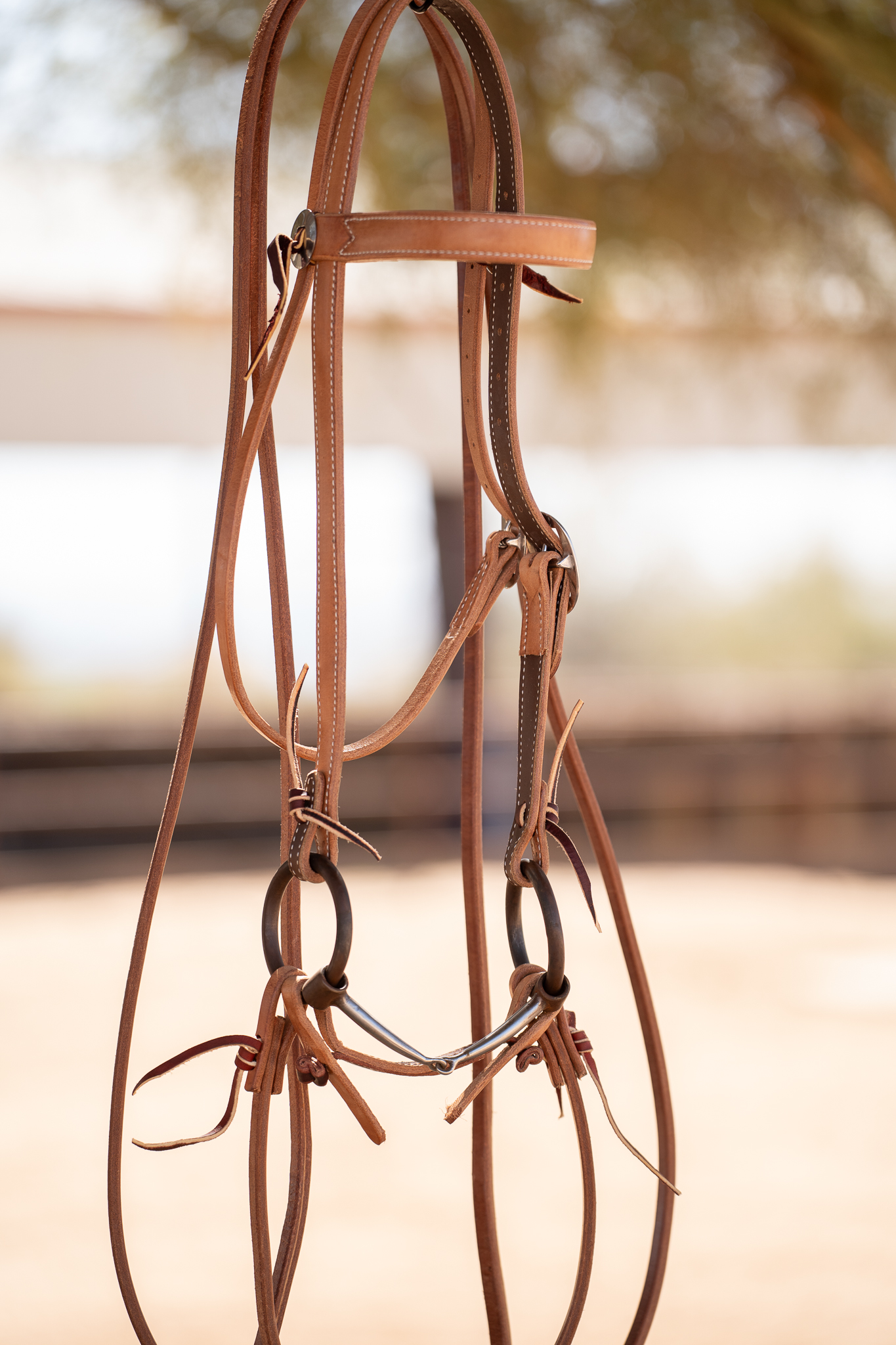 Snaffle Bridle Set | Al Dunning
