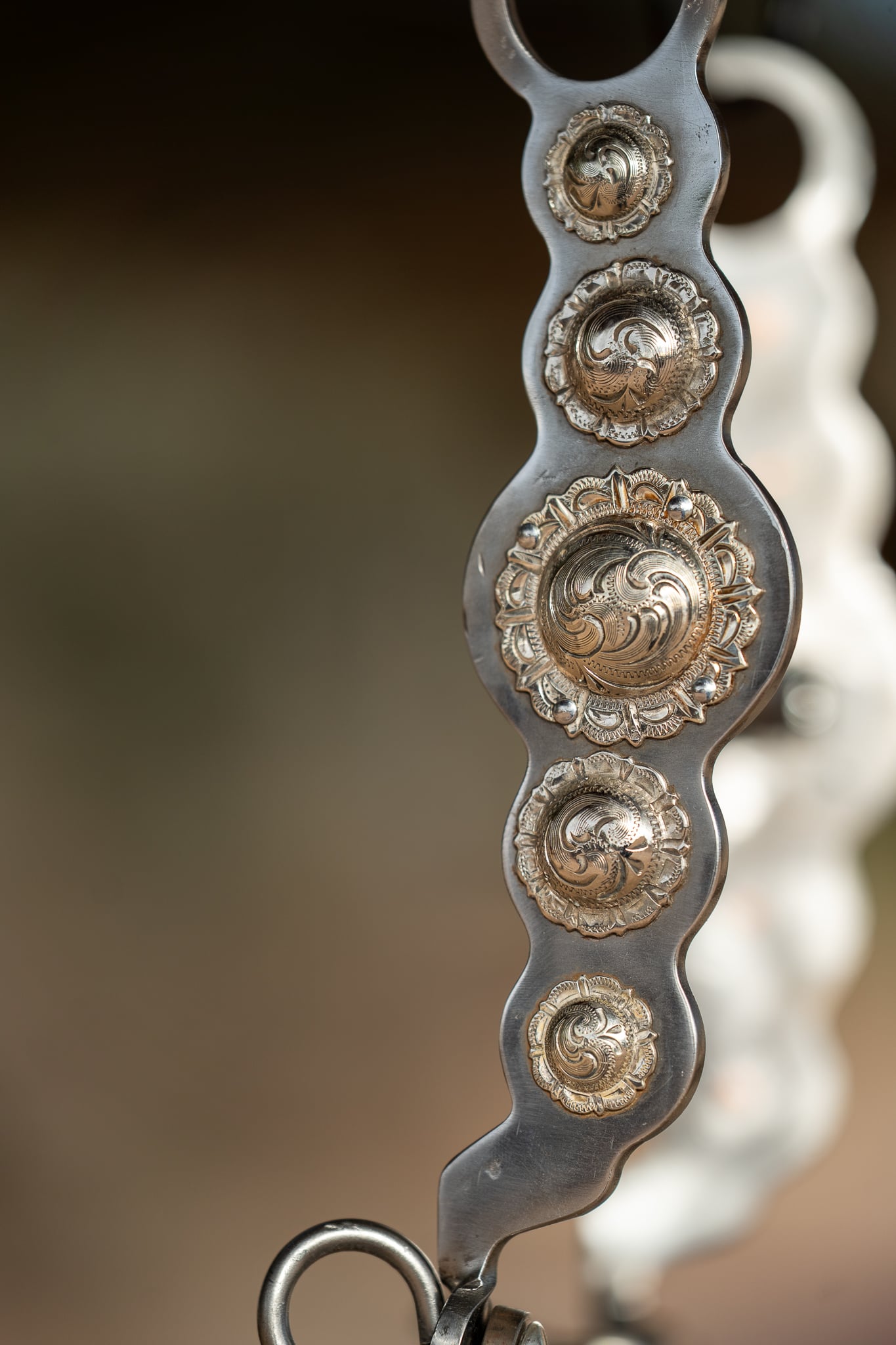 Tim Daley Concho Bit | Al Dunning